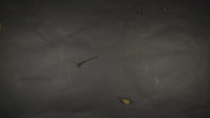 The Best Catfish Rigs - Blue and Flathead Essentials - Perservance Survival