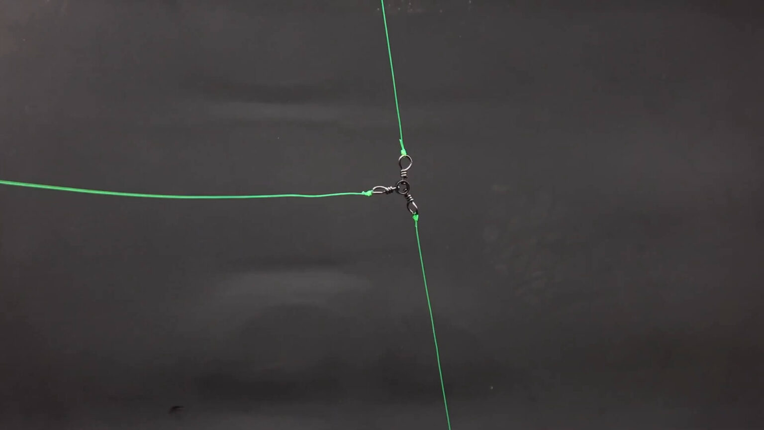 The Best Catfish Rigs - Blue and Flathead Essentials - Perservance Survival